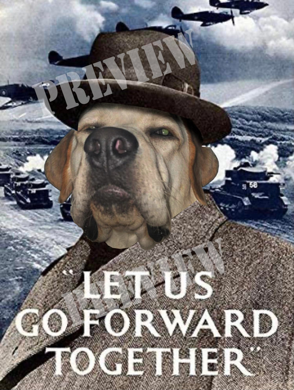 2kordng7n9e81 pre — Postimages