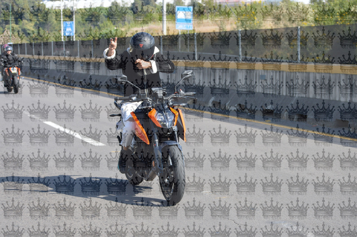 DSC 0193 — Postimages