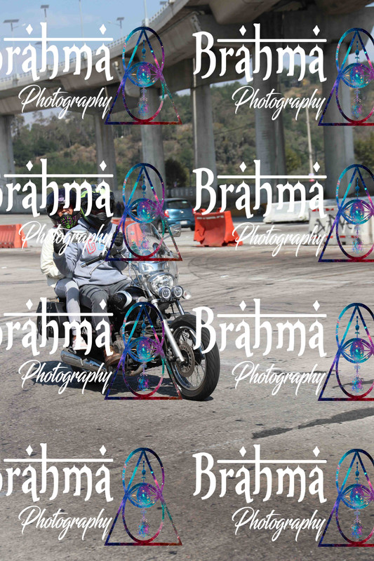 IMG 3695 — Postimages