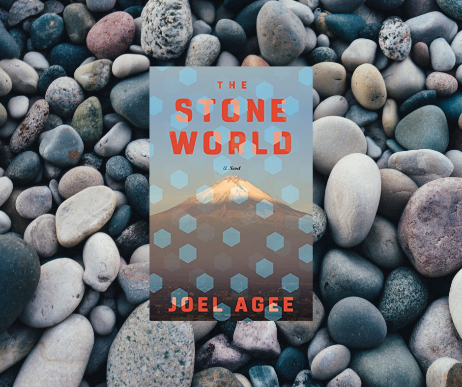 Joel Agee’s novel of childhood wonder and terror: A review of The Stone ...