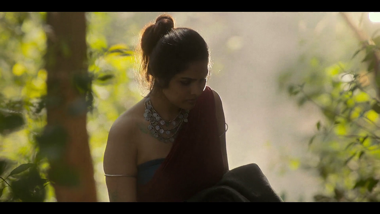 vlcsnap 2024 12 13 17h56m08s412 — Postimages