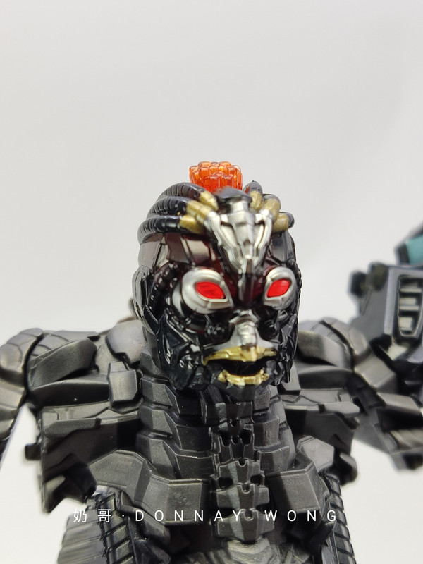 ROTF Fallen inhand 07 — Postimages