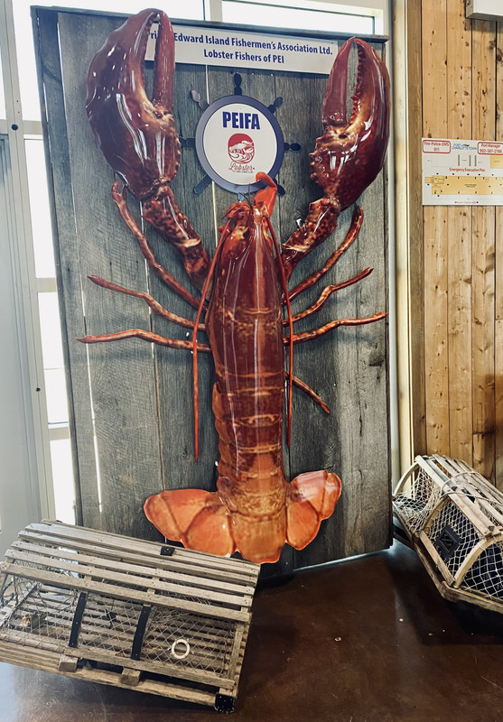 IMG 3179 — Postimages