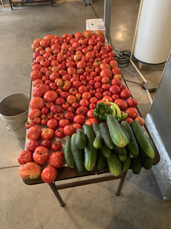 IMG 1347 — Postimages