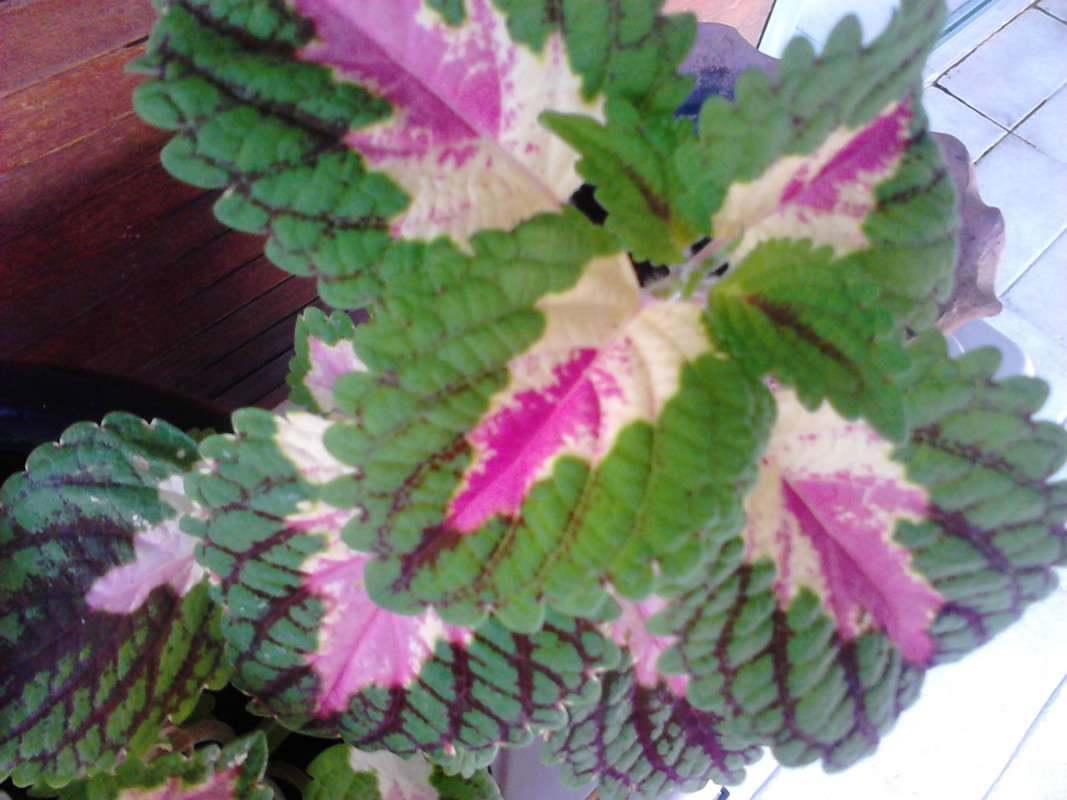 DSC 0063 — Postimages