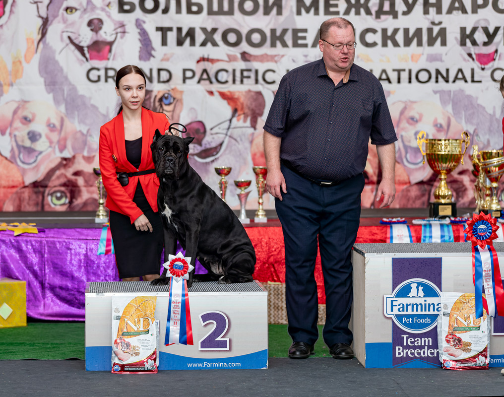 01 556 — Postimages