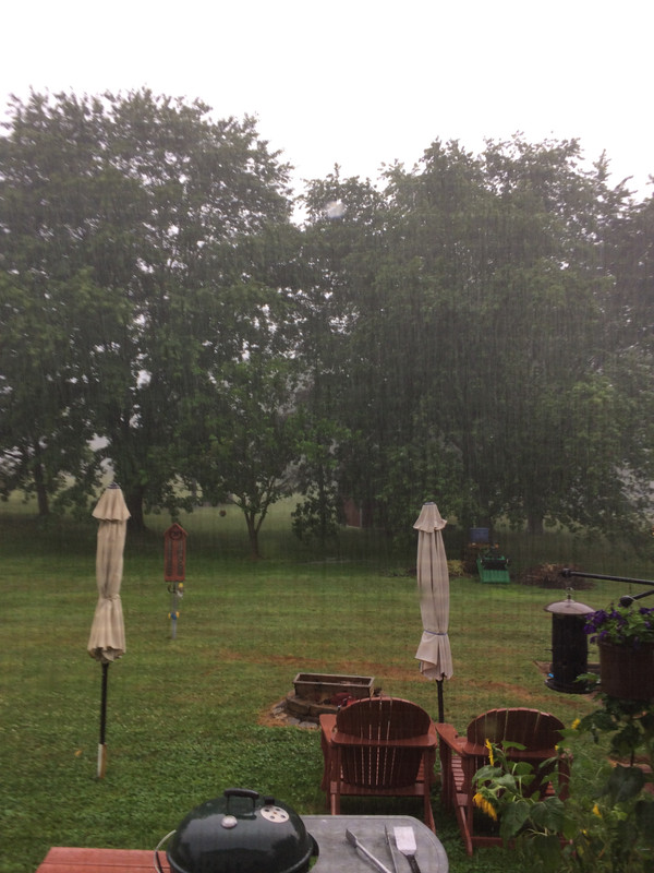 BCE753 B0 FB18 4 EE7 A5 C5 07 C3 CDE7 BB24 — Postimages