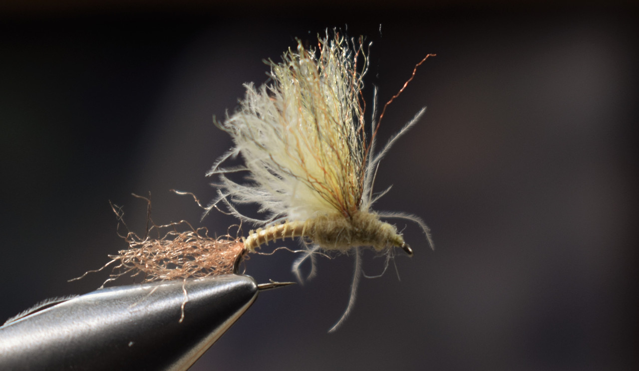 Gray Fox ( YMB) Emerger — Postimages