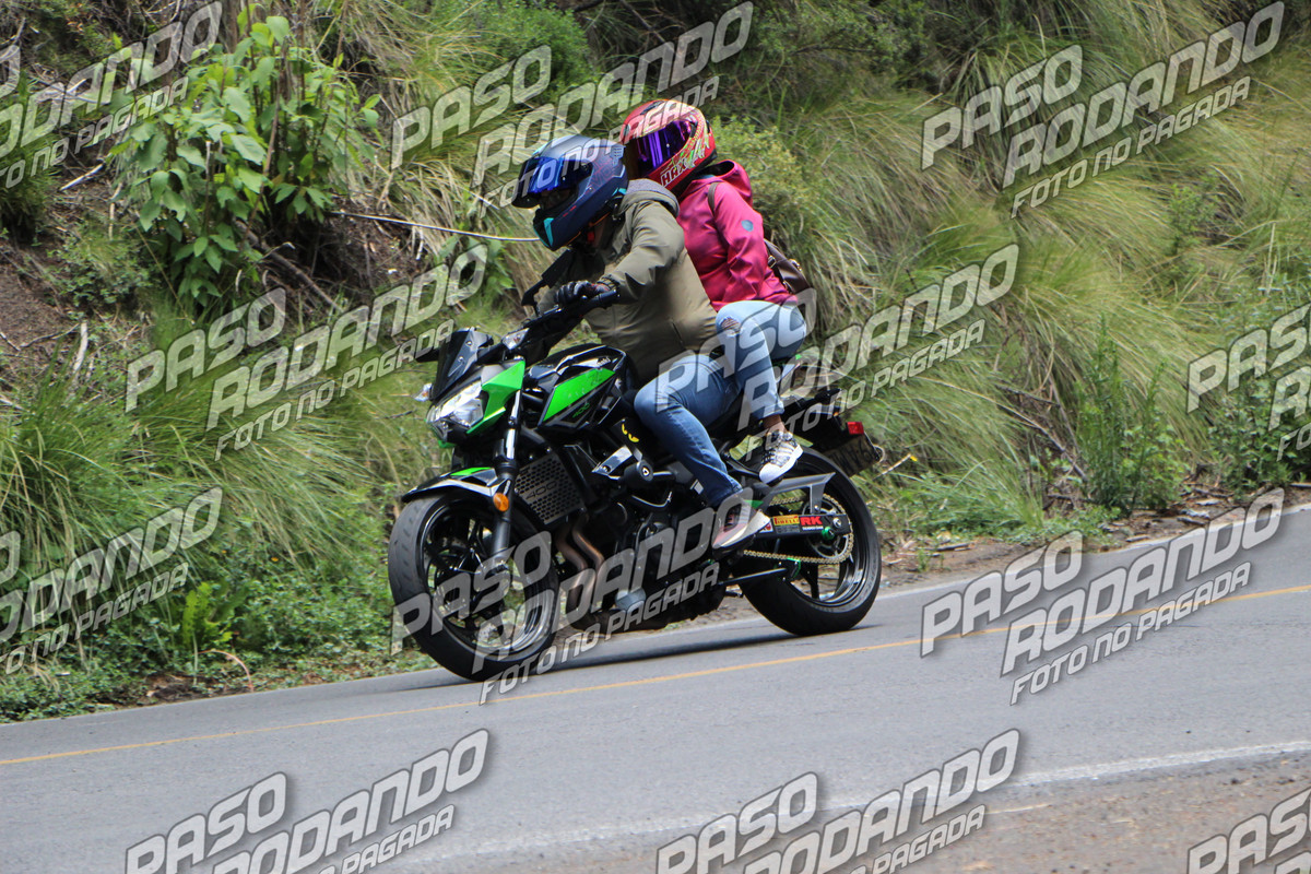 IMG 1236 wm 69336 watermarked — Postimages