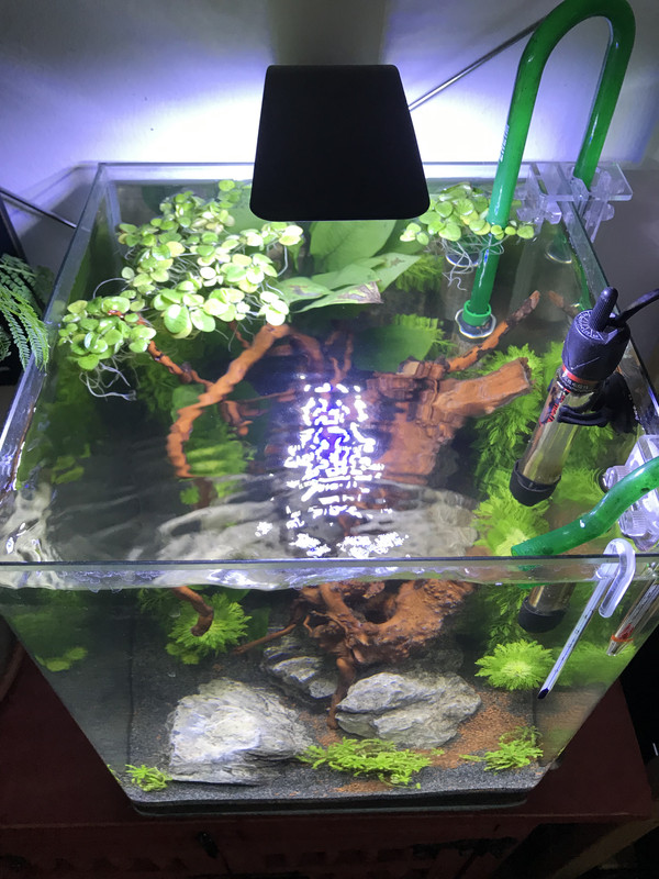 IMG 8232 — Postimages