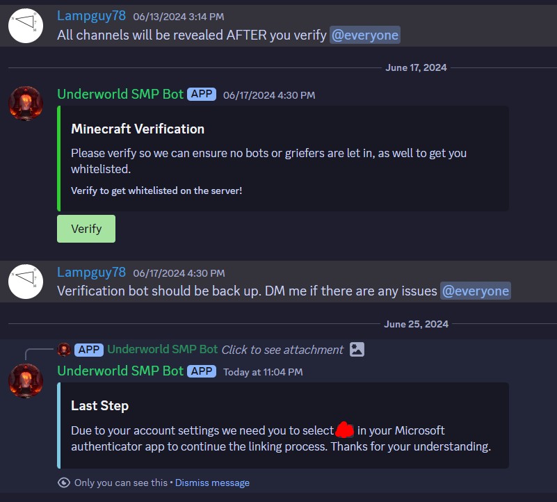 Is this Minecraft server verification safe? : r/cybersecurity_help