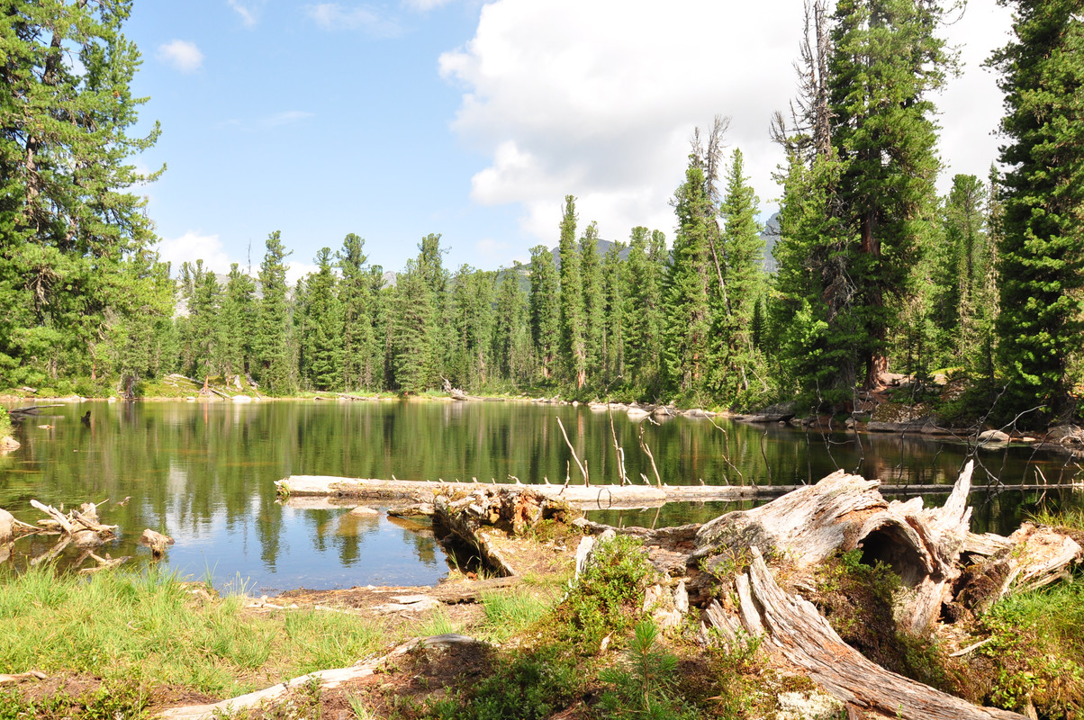 DSC 0378 (1) — Postimages