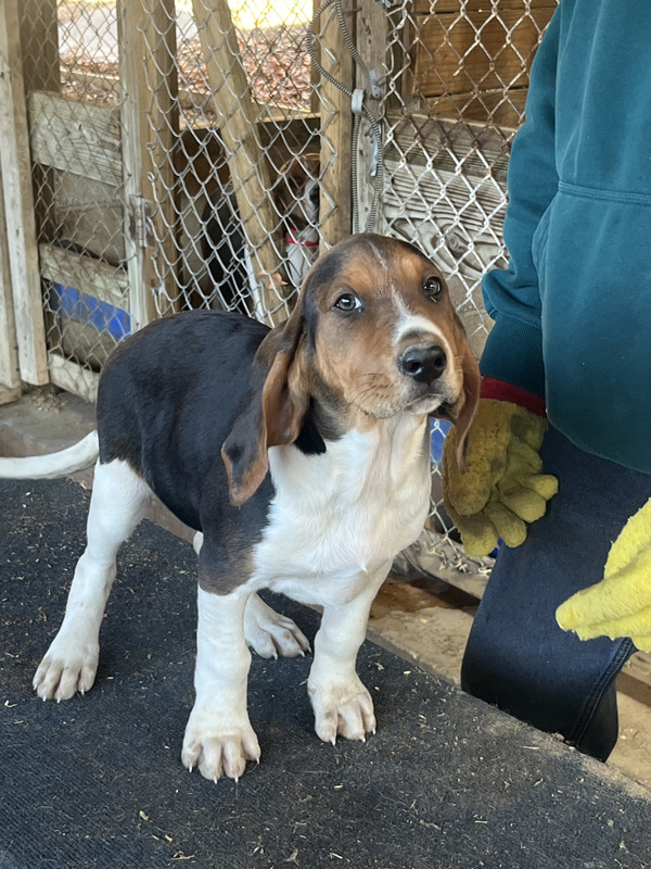 IMG 1846 — Postimages