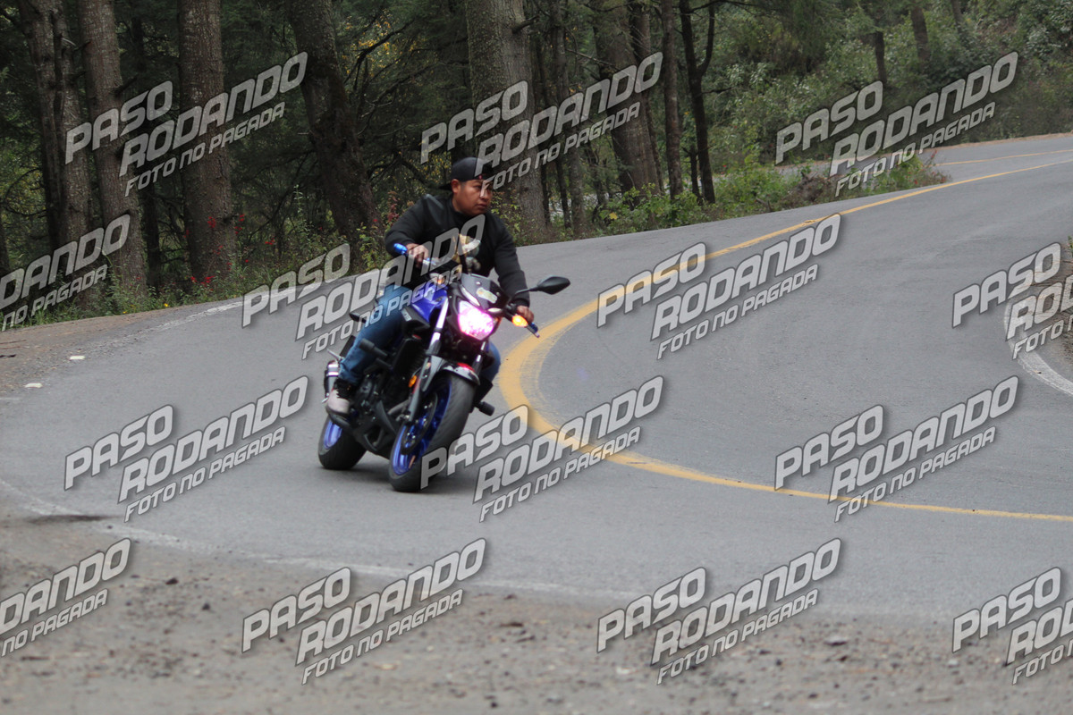 IMG 1663 wm 1892041 0999999996 watermarked — Postimages