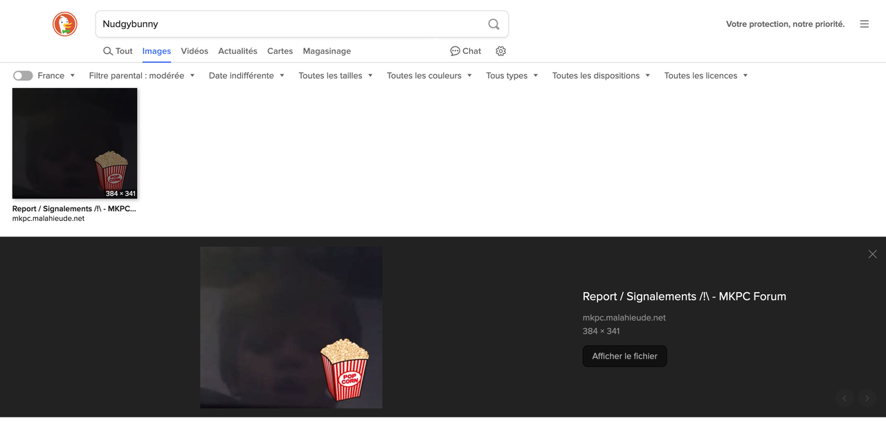 Screenshot 2024 12 25 at 16 06 47 Nudgybunny at Duck Duck Go — Postimages