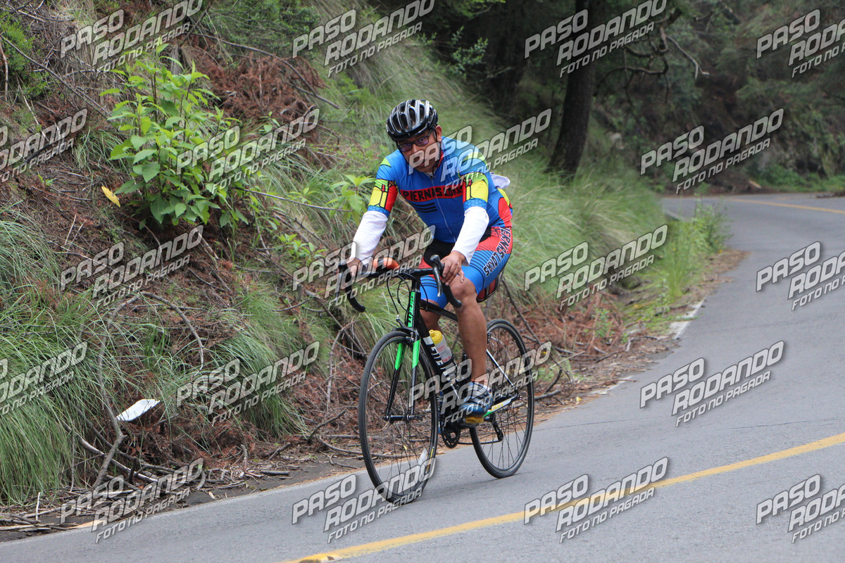 Album — Postimages