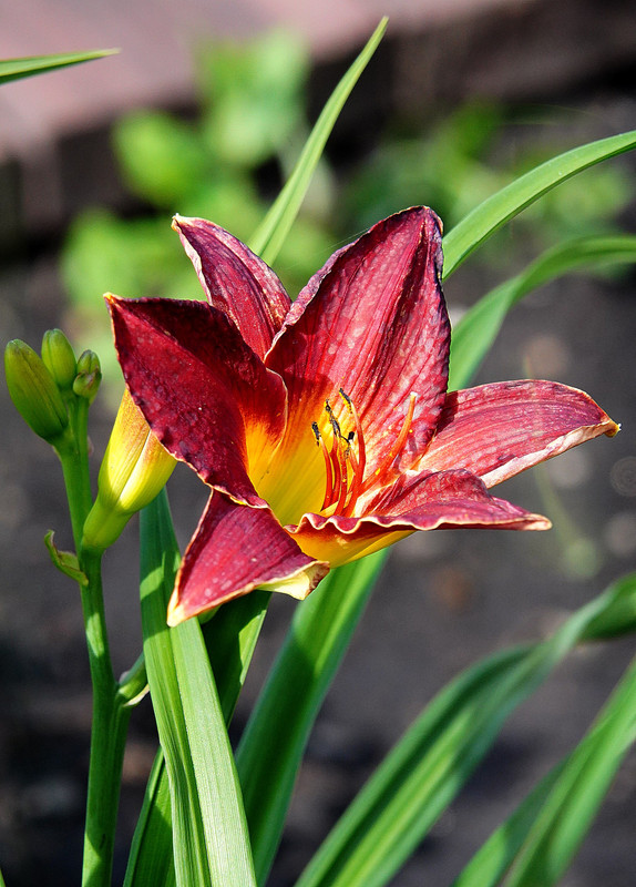 DSC05519 cr — Postimages