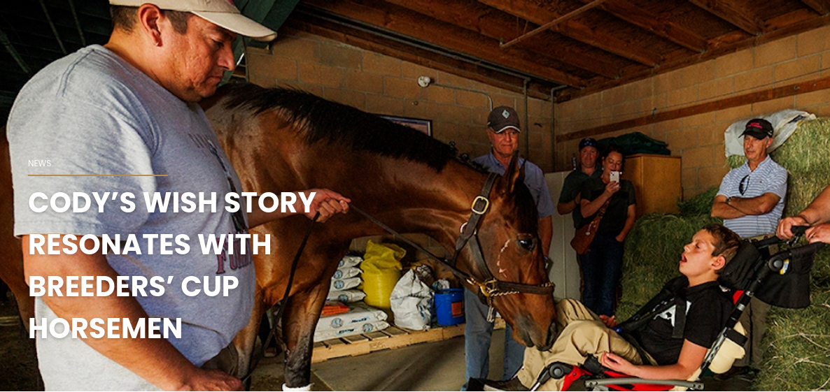 CODYS WISH watta story - Thoroughbred Horse Racing and Breeding Forums