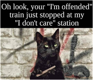 Masks and obesity – The Burning Platform