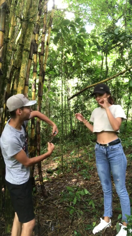 IMG 20240615 084417 710 — Postimages