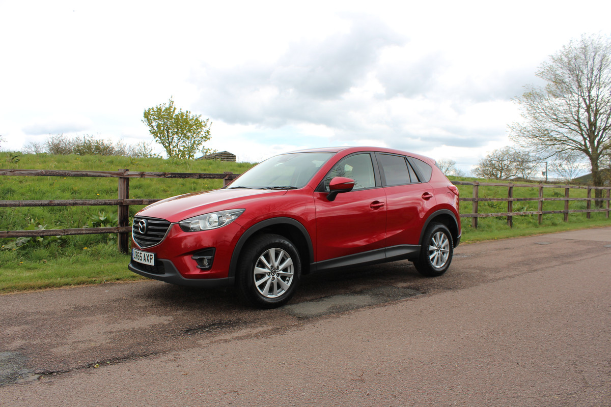 IMG 5479 — Postimages