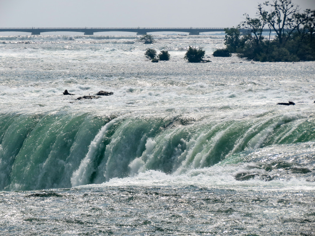 020 Niagara Falls — Postimages