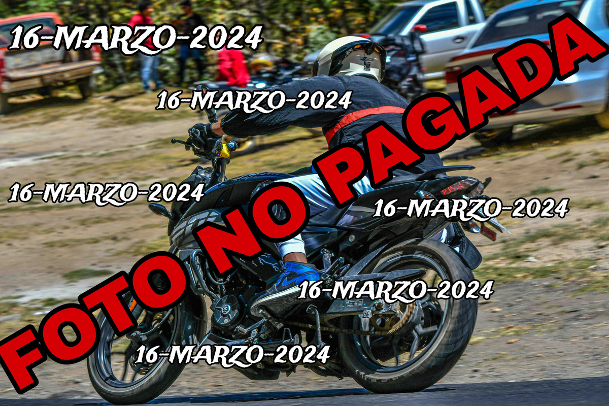 CC 442 — Postimages