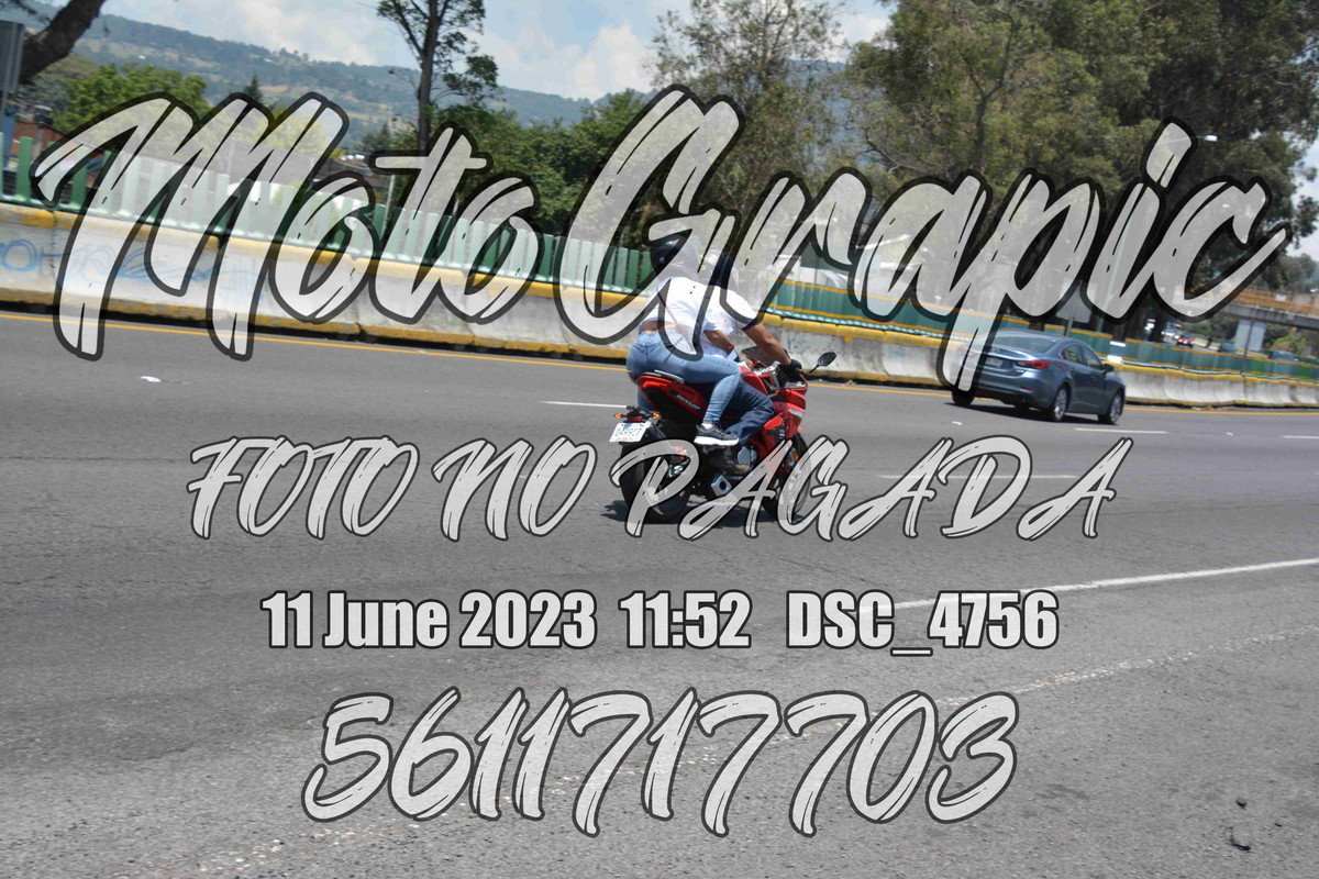 motgr DSC 4756 — Postimages