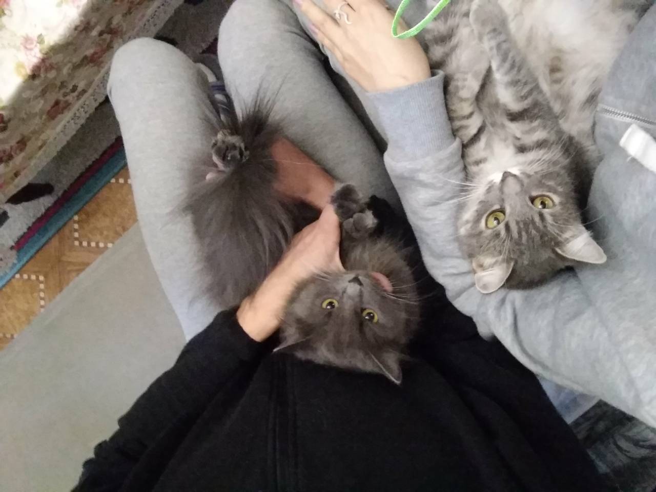 viber image1 — Postimages