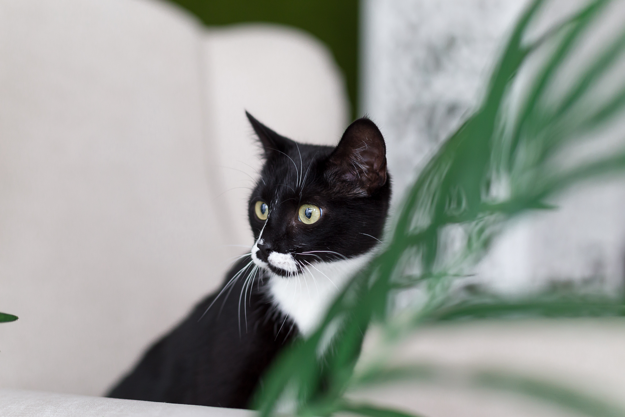 IMG 4256 — Postimages