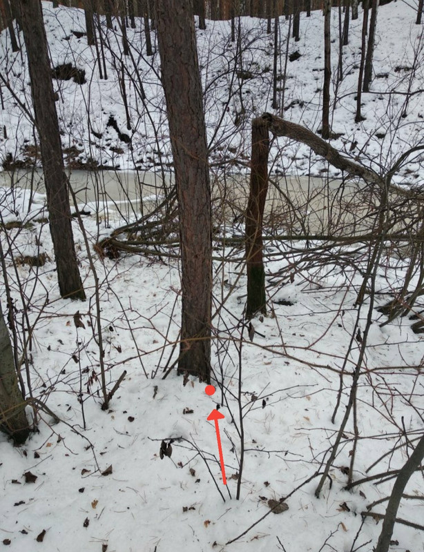 clean IMG 20140206 064829 — Postimages