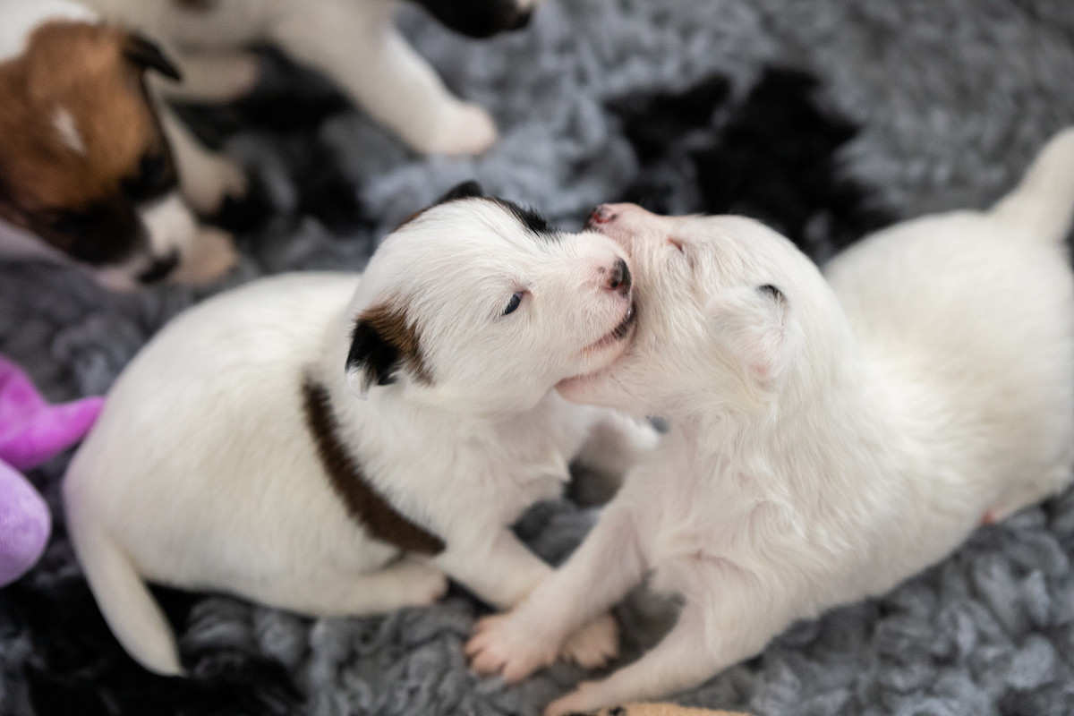 MG 7575 — Postimages