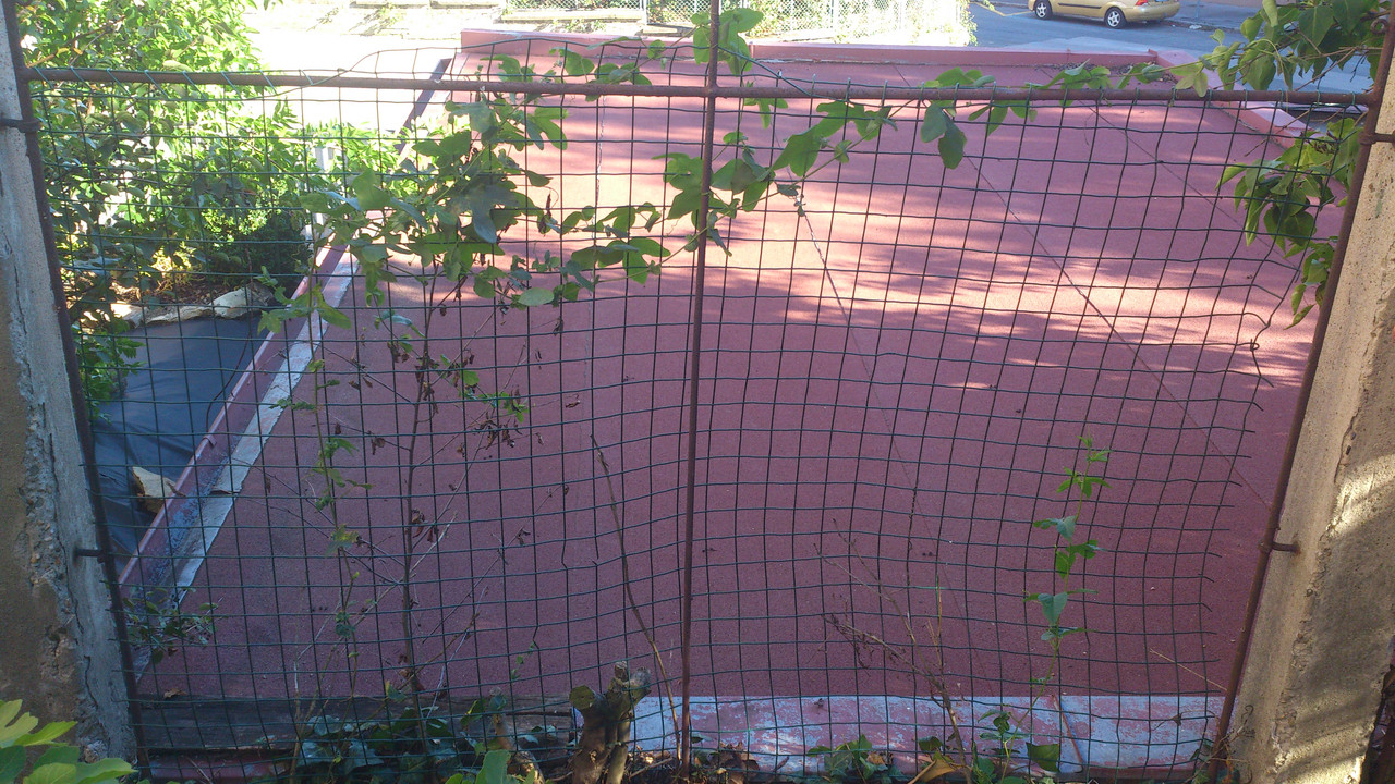 DSC 4204 — Postimages