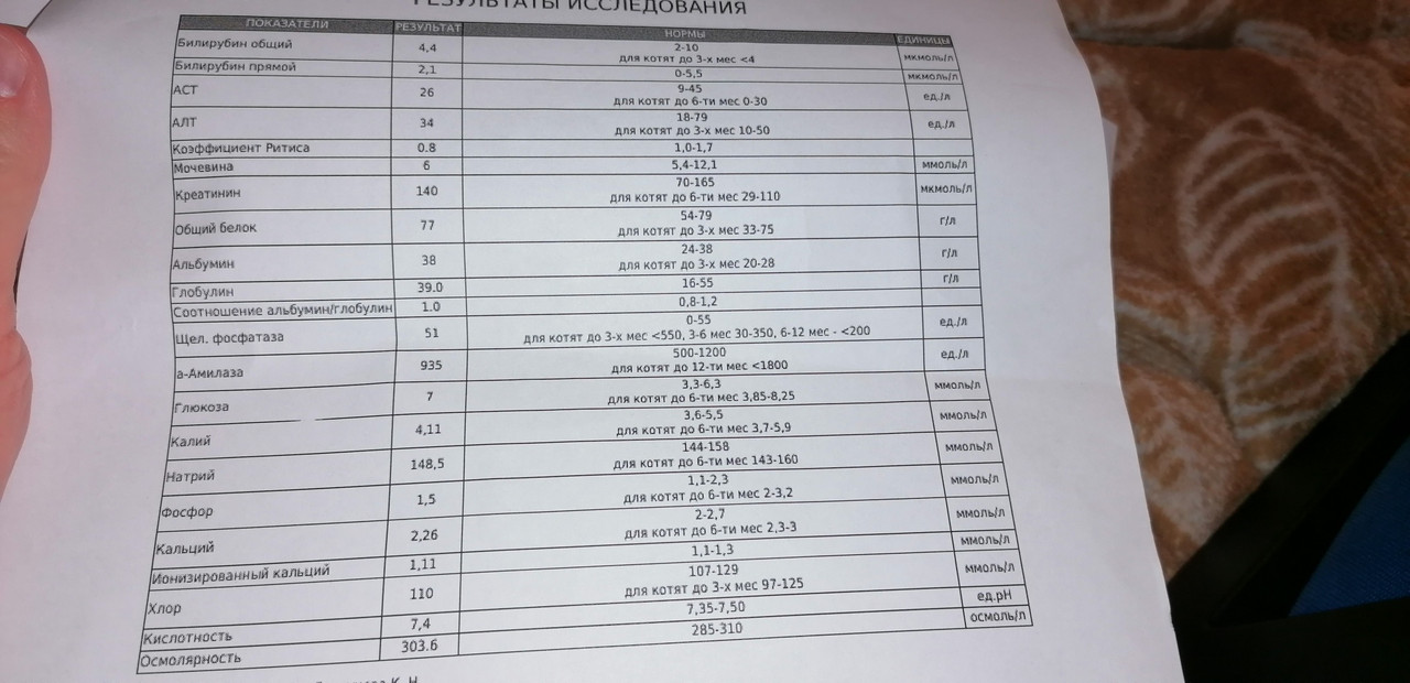 IMG 20230516 230711 r2 — Postimages