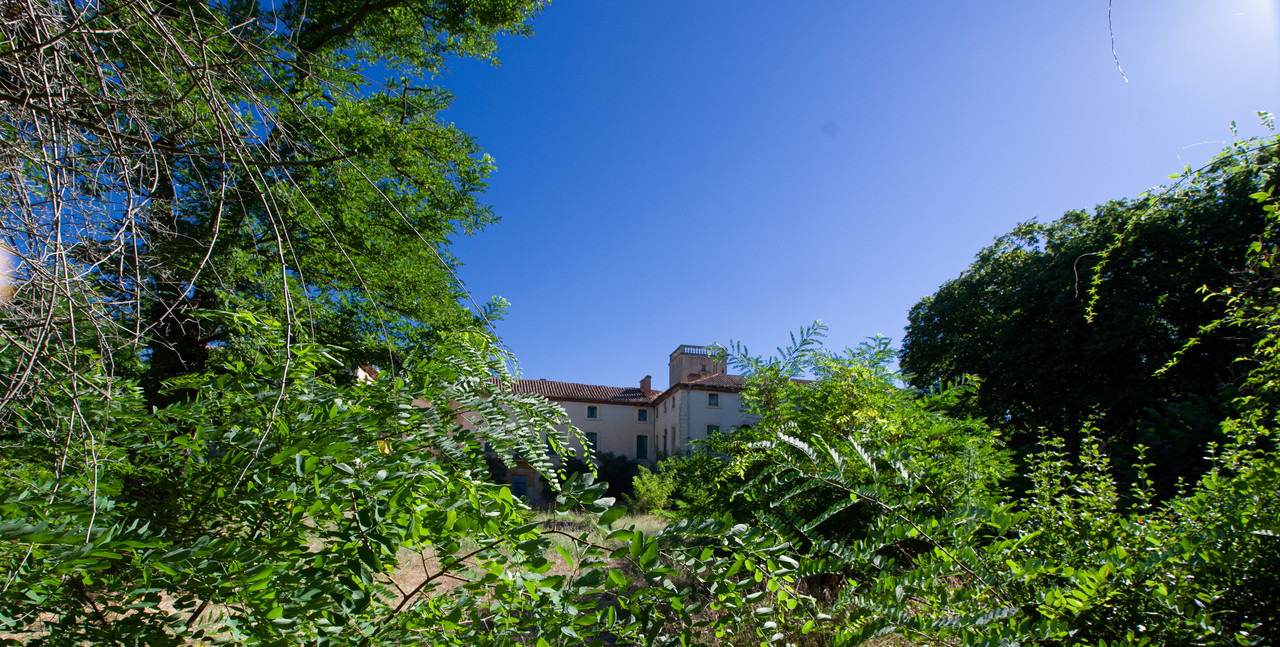 MAU 8031 — Postimages