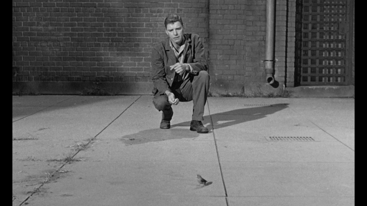 Screenshot (204) — Postimages