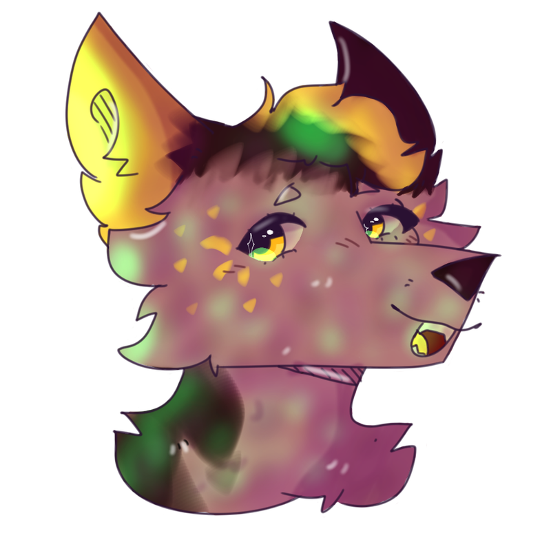 CHEAP COMMISSIONS (open) :|: Lioden