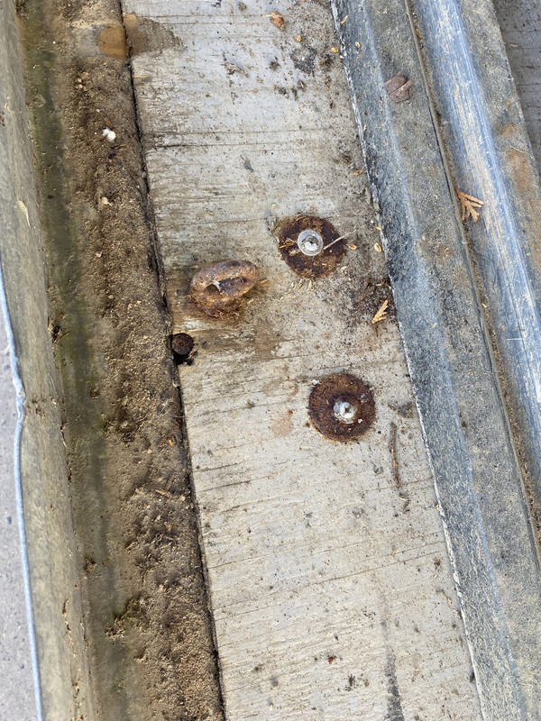 IMG 5589 — Postimages