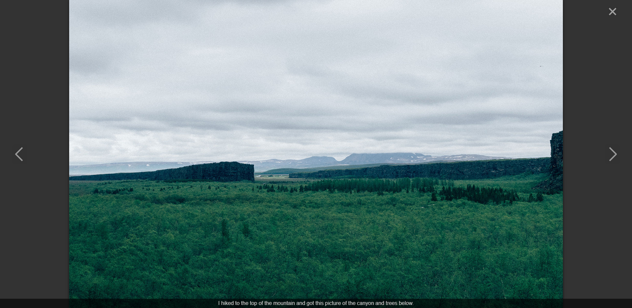 GitHub - ZaidKhan144/interactive-photo-gallery: Hi, this Picture ...