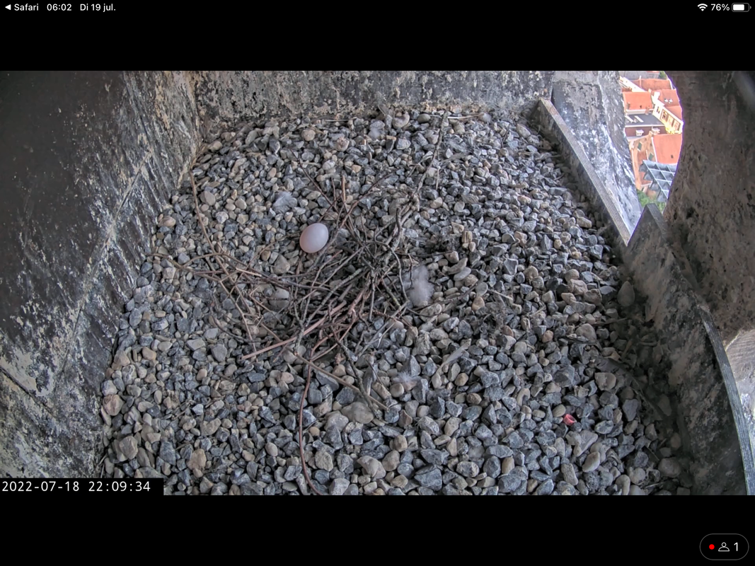 F98 DA7 A7 4 A45 4108 98 C3 28 CD340 BAE9 E — Postimages