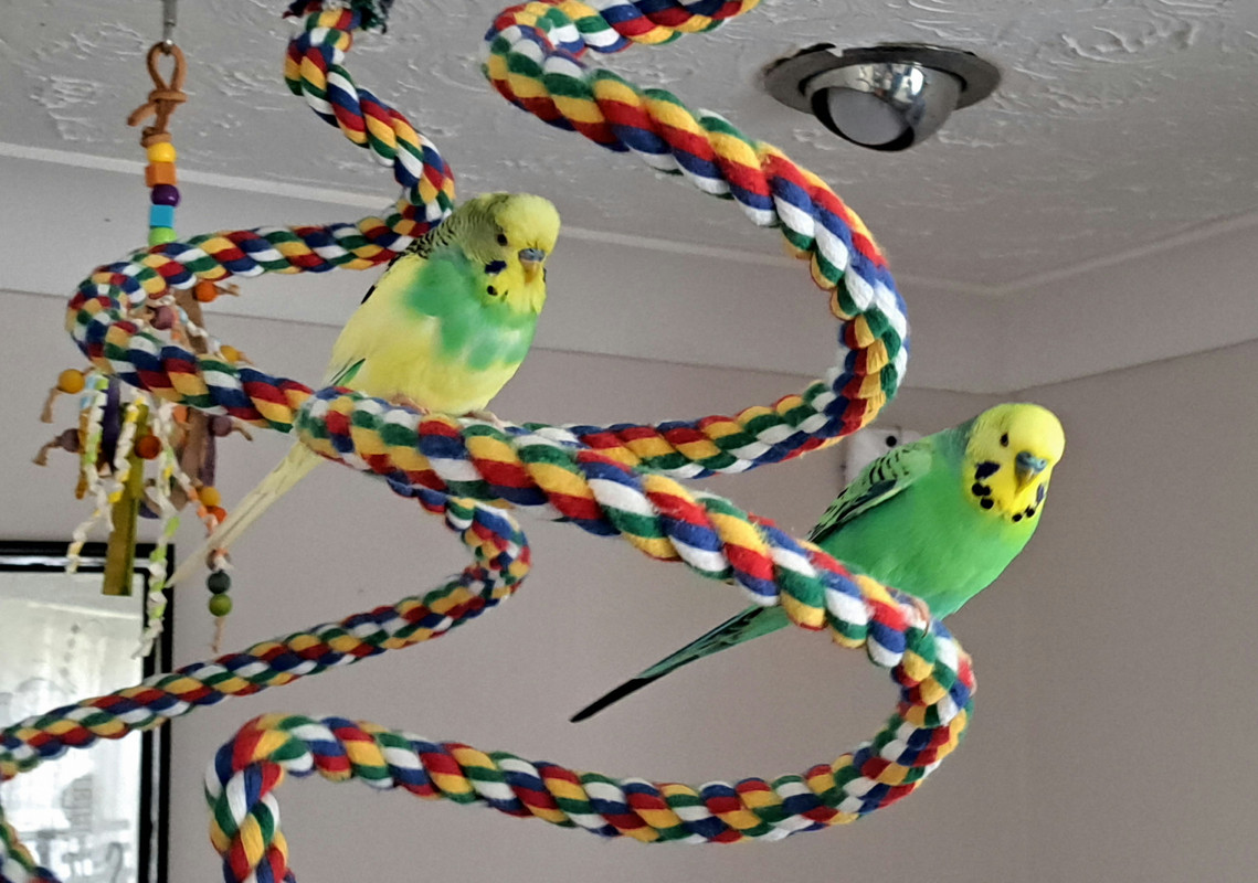 20230901 132500 — Postimages