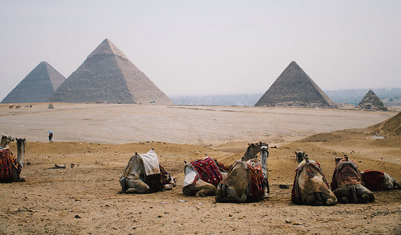 Caveman Circus - The Most Awesome Men's Entertainment Site On The Internet