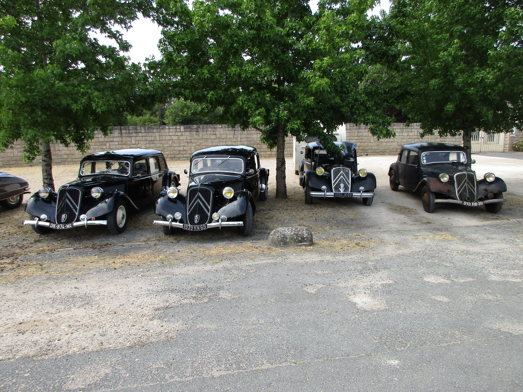 IMG 1189 — Postimages