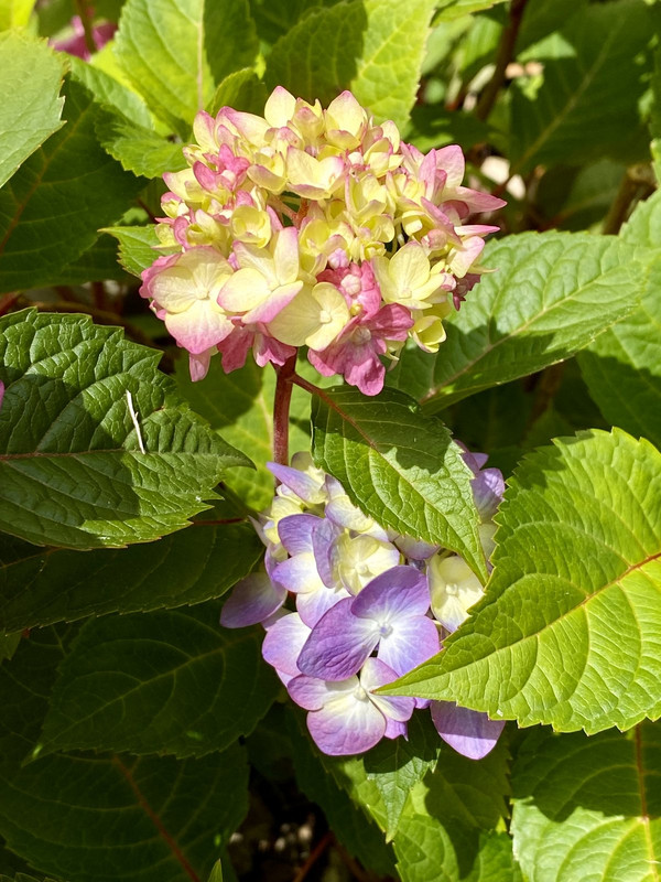 01 FDD2 AC E1 B3 40 F0 B9 E7 6 A781 BD31661 — Postimages