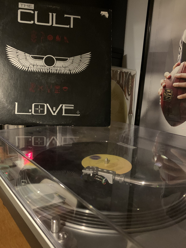 13359172 CDEE 475 C A511 20 BFDC9 DDF5 C — Postimages