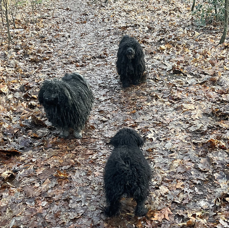 130 AEE35 BFD8 4908 8 BAB 3023734 A52 E4 — Postimages