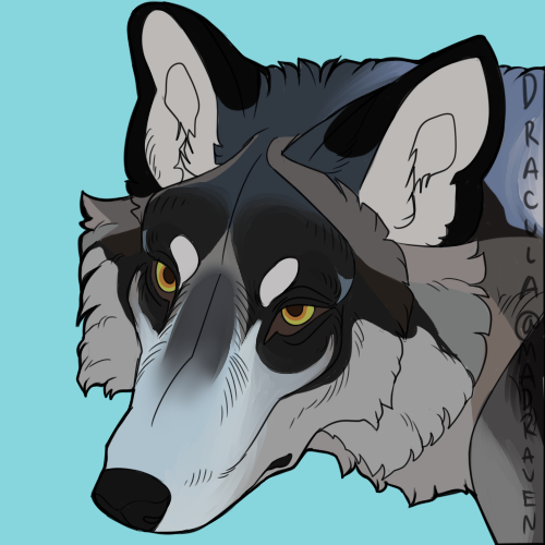 💥YWH icon! + NEW LION ICON! |:| Wolvden