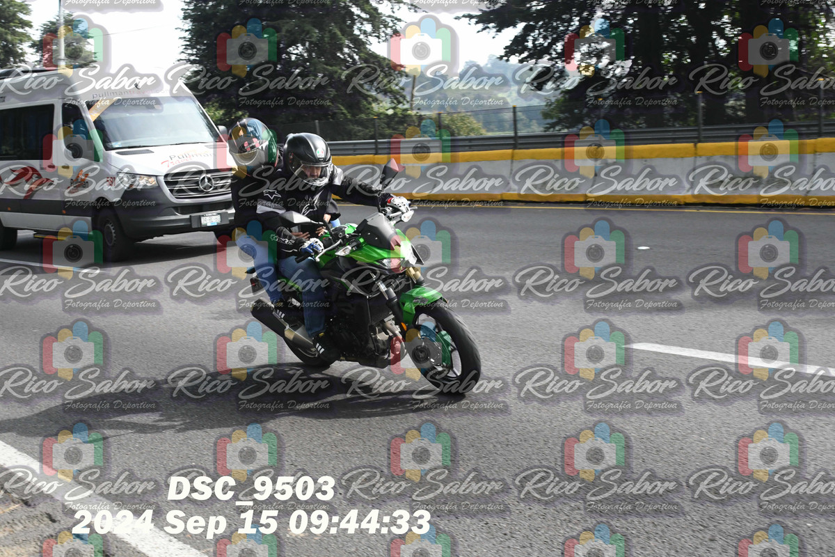 DSC 9503 — Postimages