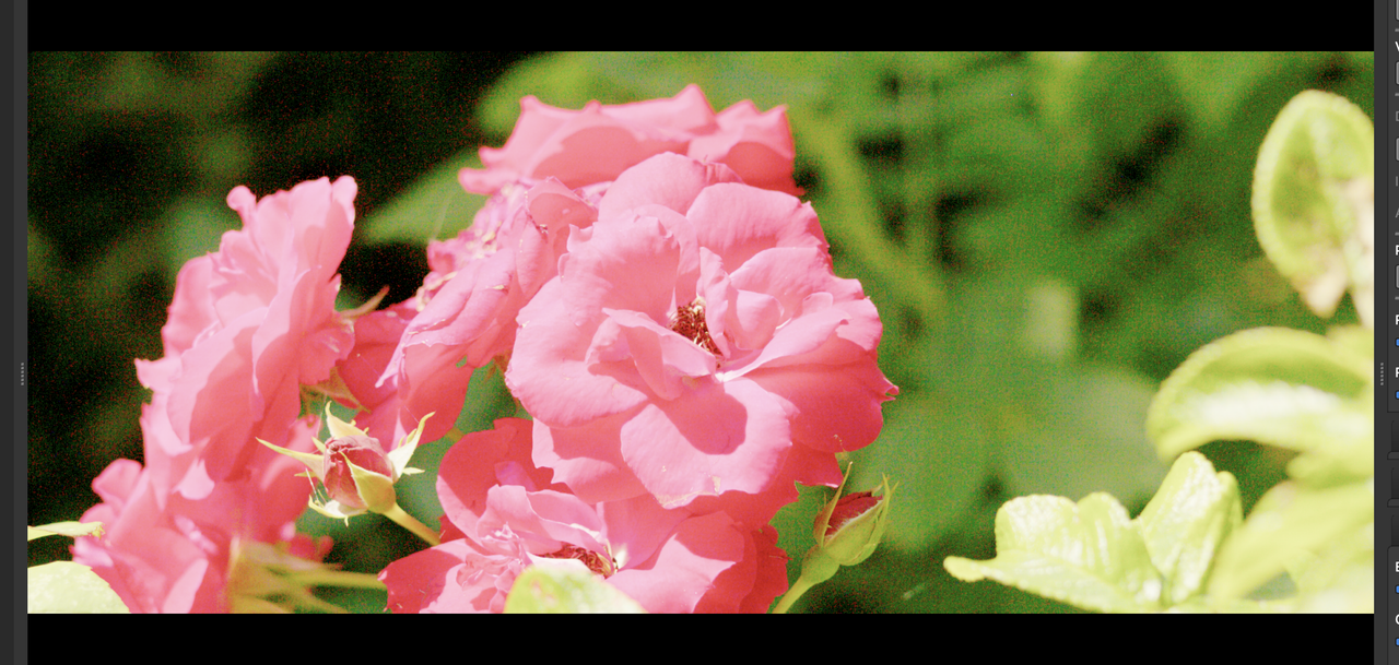 Crop mood - Danne custom tweaks (EOS M)