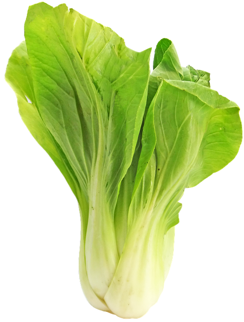 Jago Pang's Portfolio